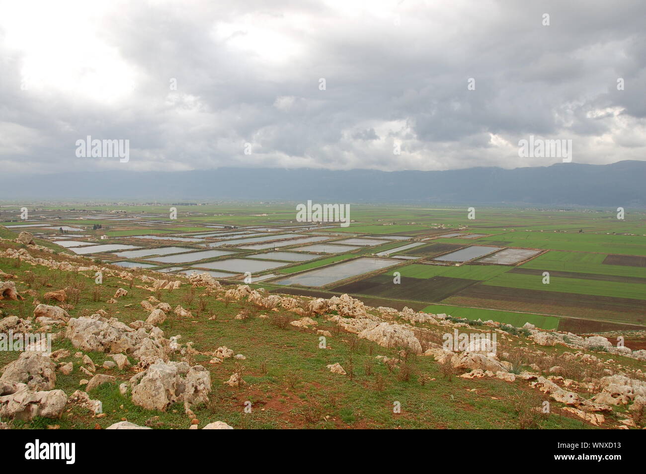 The ruins of Al Bara Stock Photo - Alamy