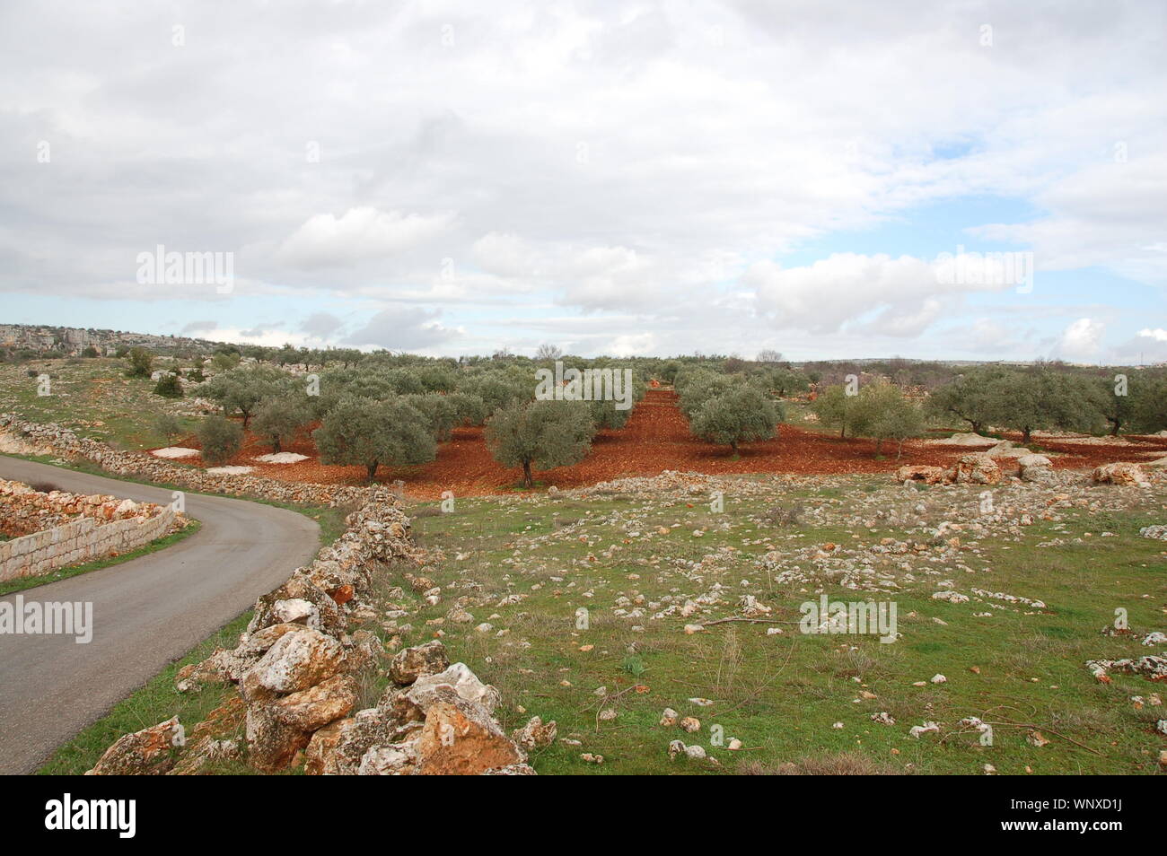 The ruins of Al Bara Stock Photo - Alamy