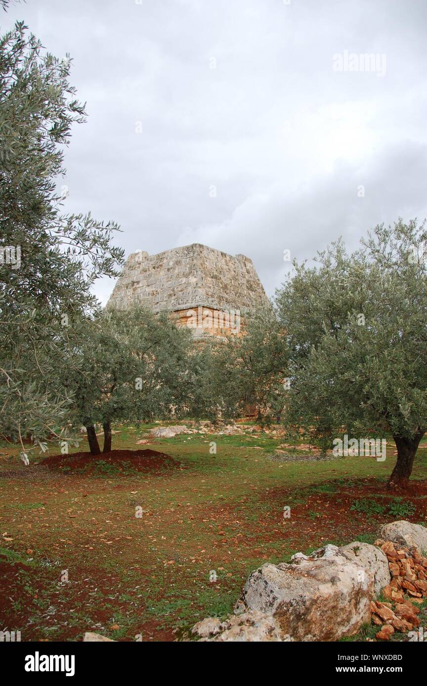 The ruins of Al Bara Stock Photo - Alamy