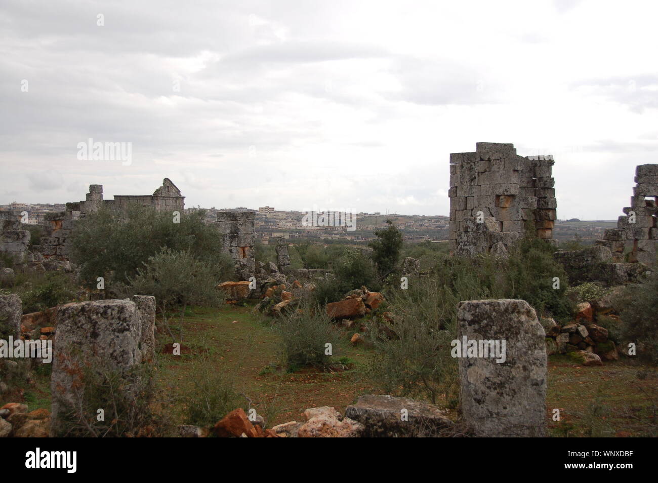 The ruins of Al Bara Stock Photo - Alamy
