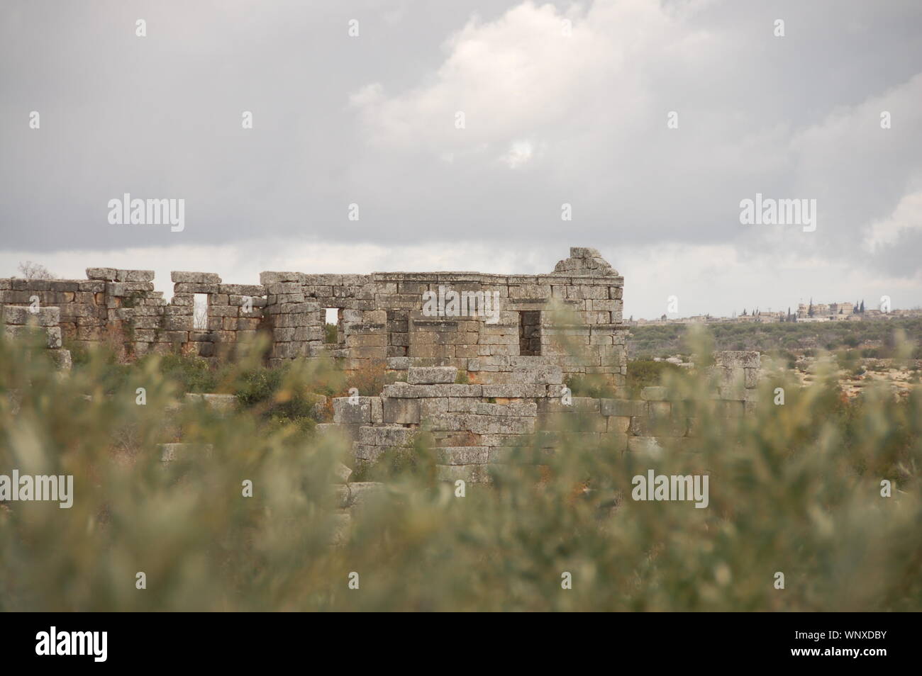 The ruins of Al Bara Stock Photo - Alamy