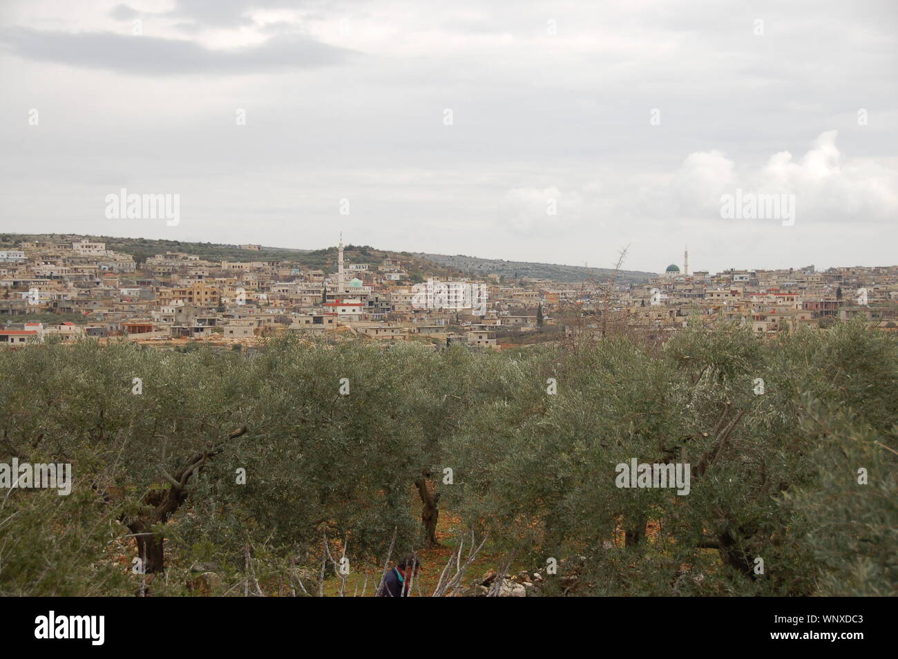 The ruins of Al Bara Stock Photo - Alamy