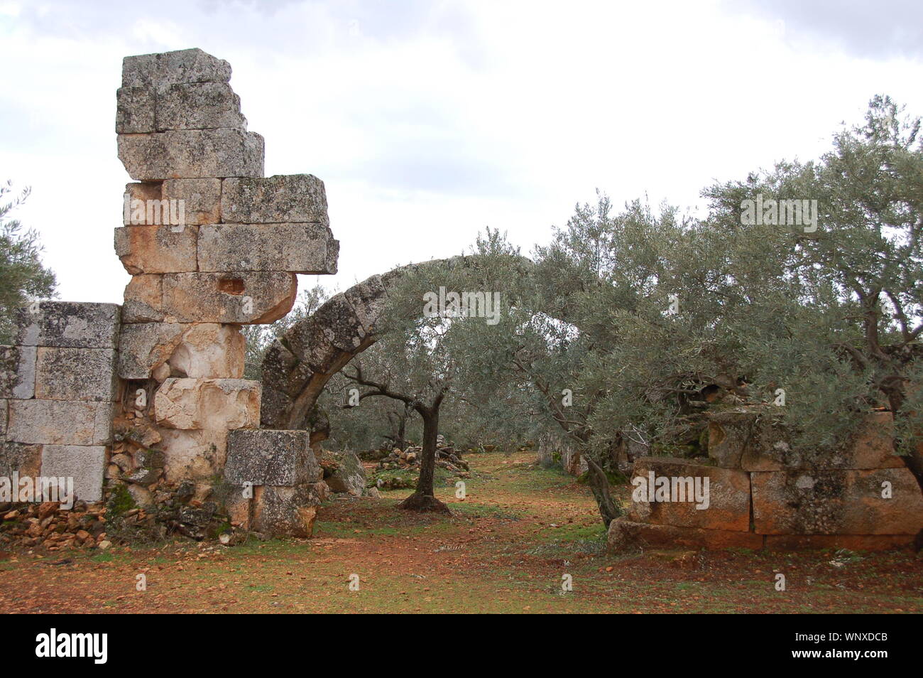 The ruins of Al Bara Stock Photo - Alamy