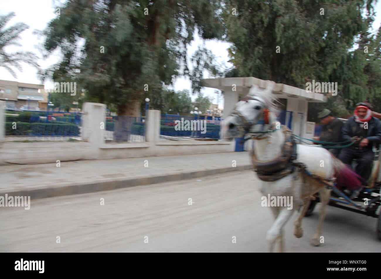 Calash hi-res stock photography and images - Alamy