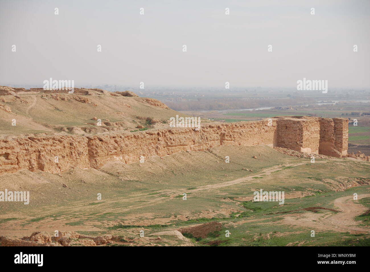 Euphrates river field hi-res stock photography and images - Alamy
