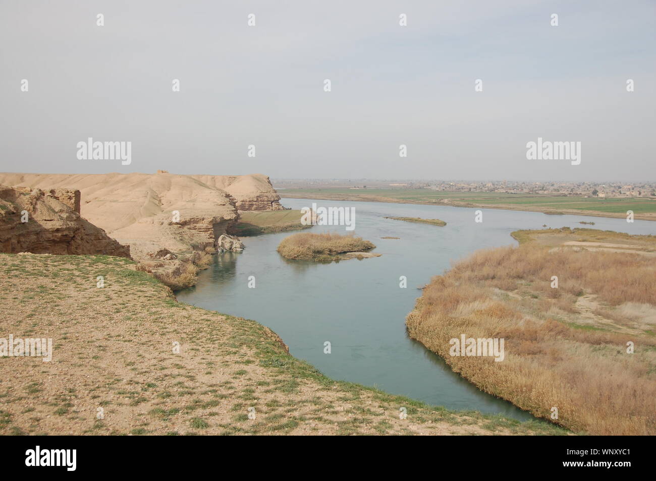 Euphrates river field hi-res stock photography and images - Alamy