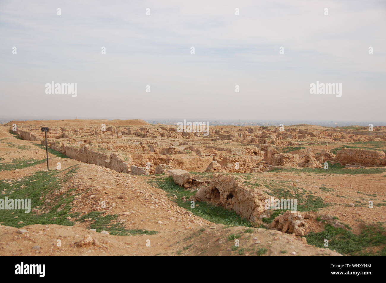 Archaeological site of Mari Stock Photo - Alamy