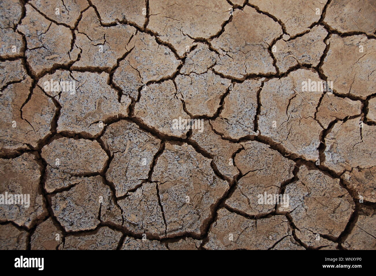 Archaeological site of Mari Stock Photo - Alamy