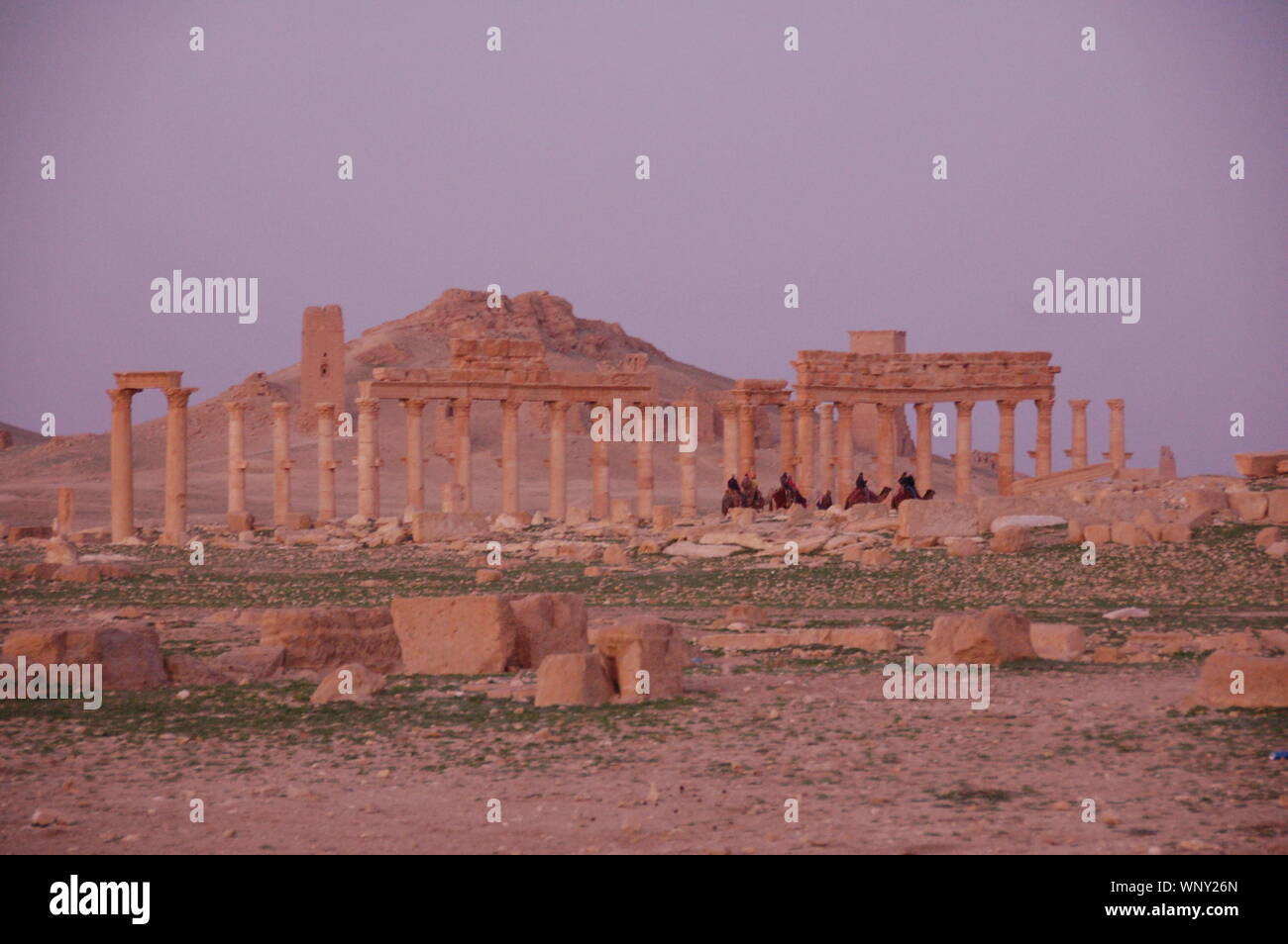 Ruins of Palmyra (Tadmor Stock Photo - Alamy