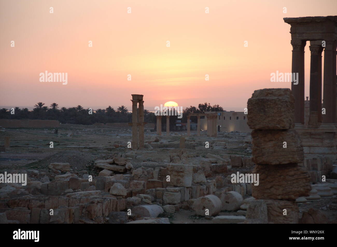 Ruins of Palmyra (Tadmor Stock Photo - Alamy
