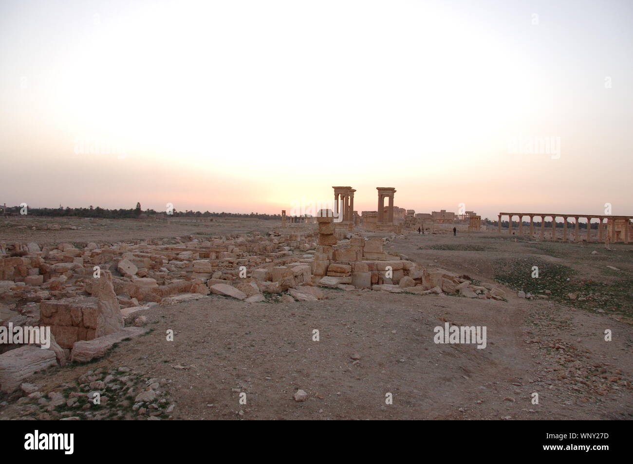Ruins of Palmyra (Tadmor Stock Photo - Alamy