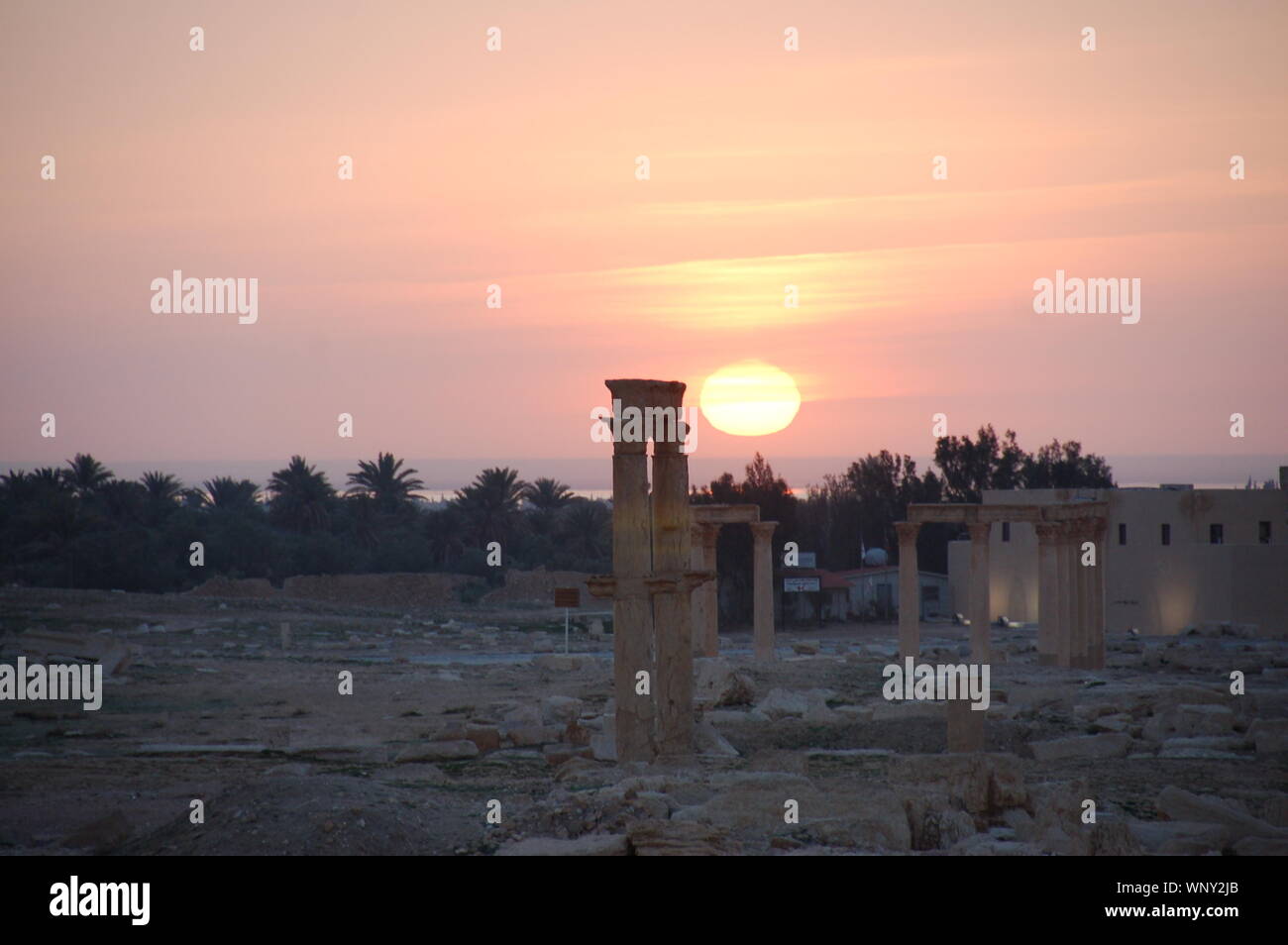 Ruins of Palmyra (Tadmor Stock Photo - Alamy