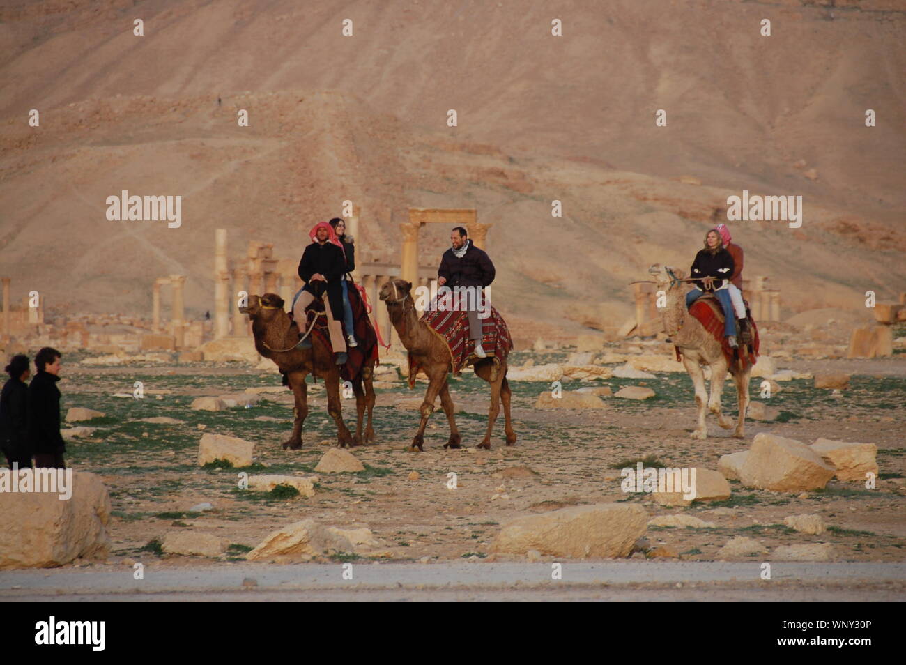 Young muslim woman syria hi-res stock photography and images - Alamy