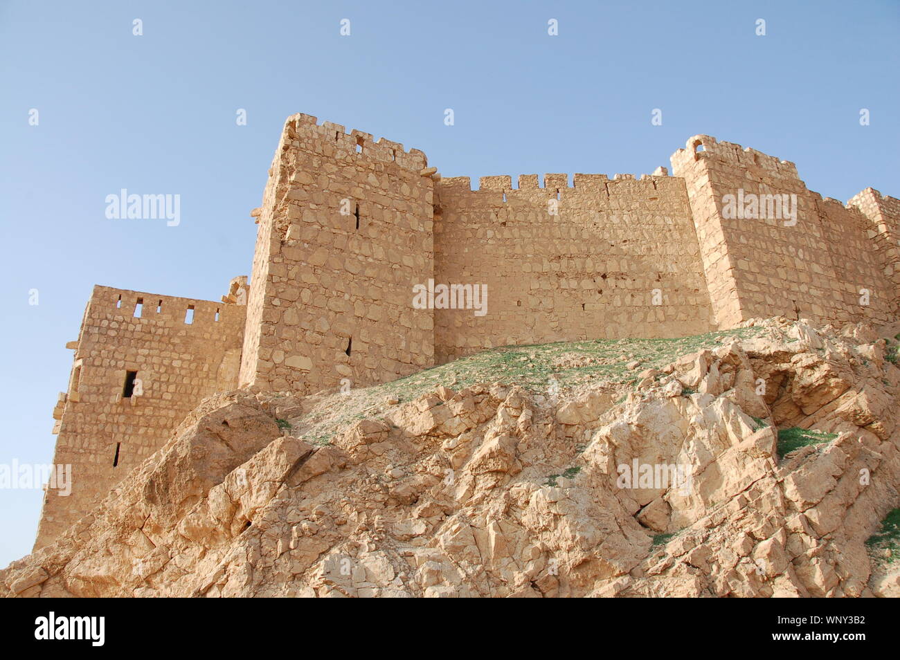 Archaeological site of Palmyra (Tadmor Stock Photo - Alamy