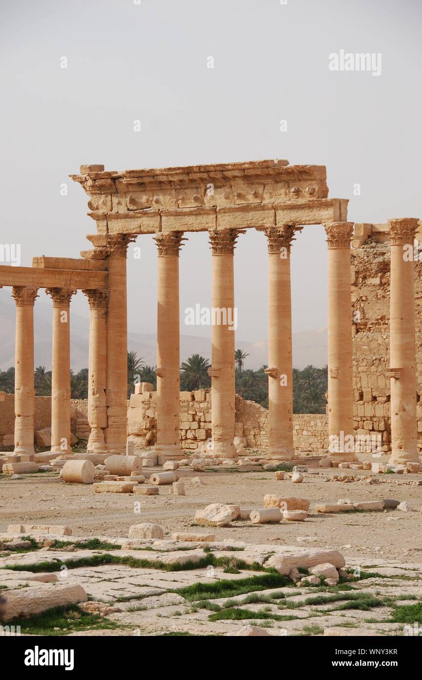 Archaeological site of Palmyra (Tadmor Stock Photo - Alamy