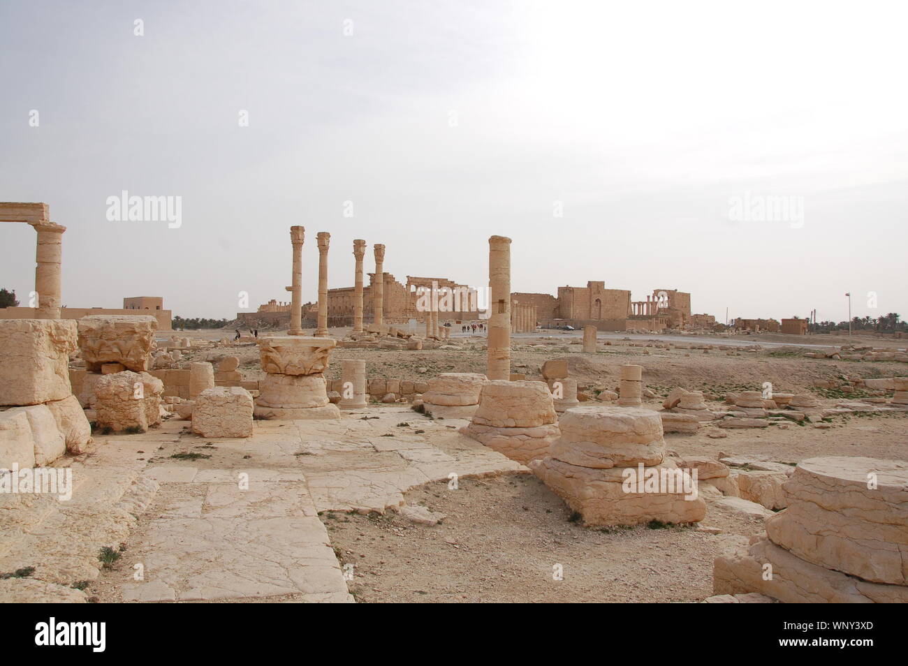 Archaeological site of Palmyra (Tadmor Stock Photo - Alamy