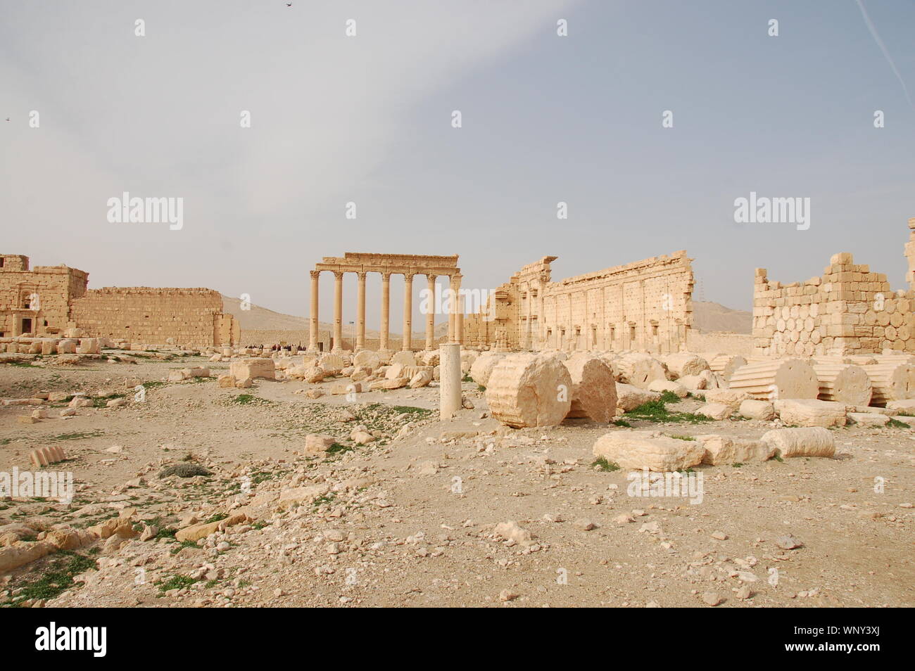 Archaeological site of Palmyra (Tadmor Stock Photo - Alamy