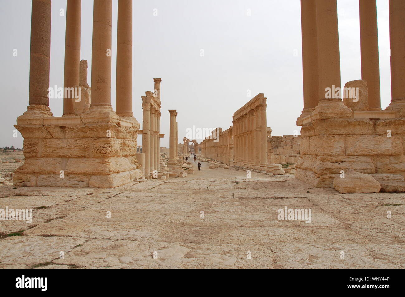 Ruins of Palmyra (Tadmor Stock Photo - Alamy