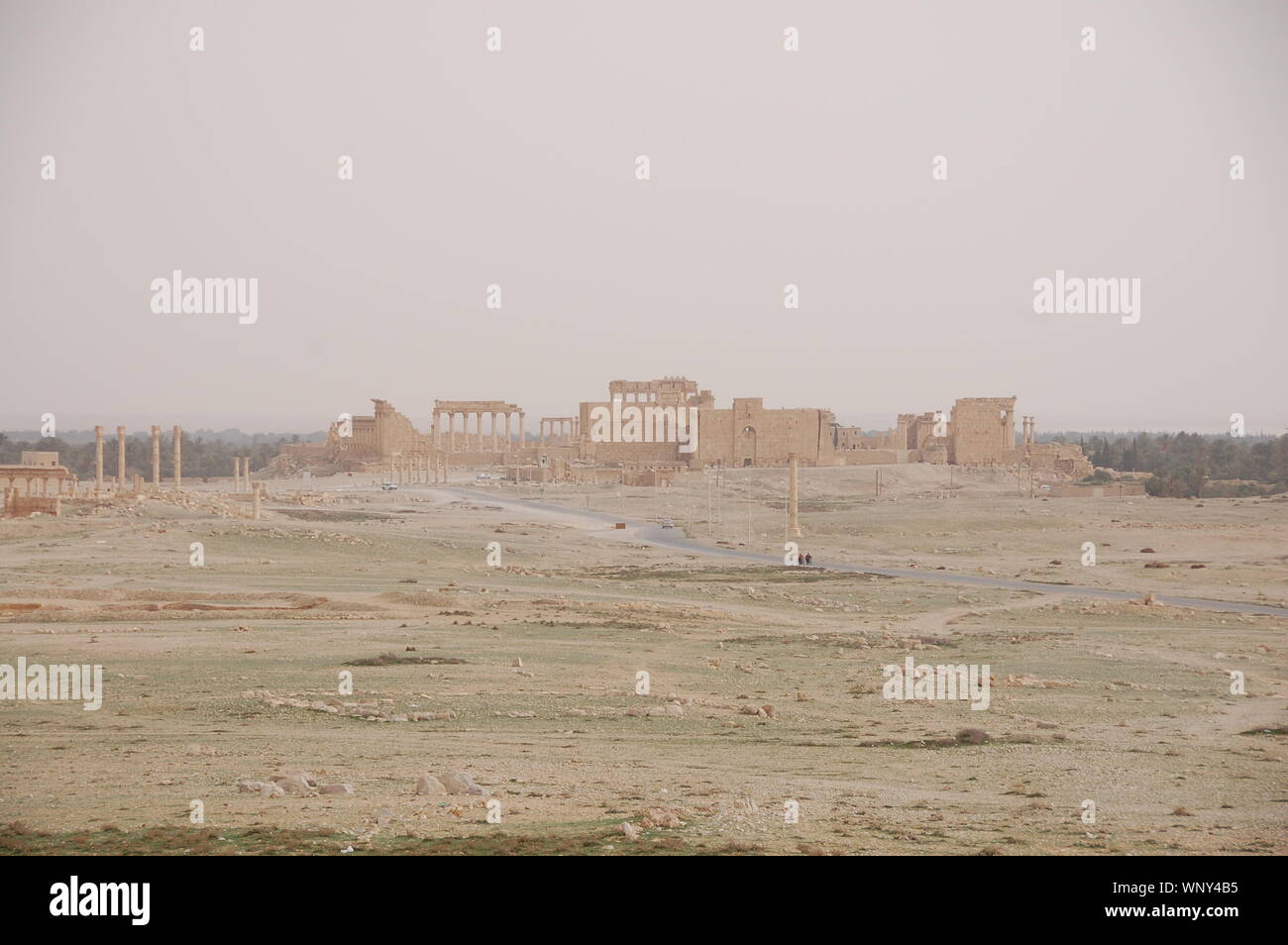 Archaeological site of Palmyra (Tadmor Stock Photo - Alamy