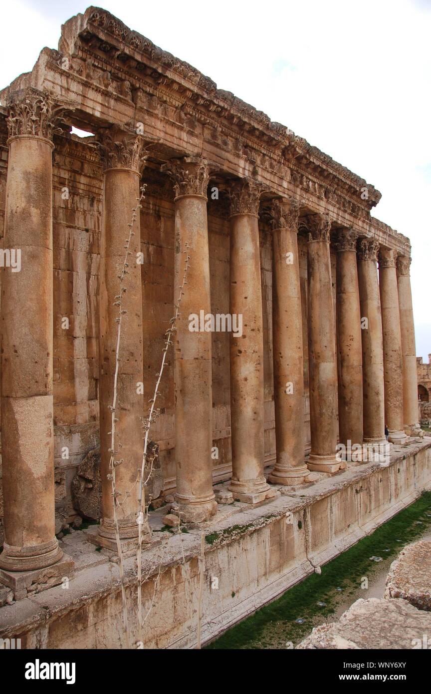 Roman architecture archeology jupiter bacchus temple lebanon historical ...