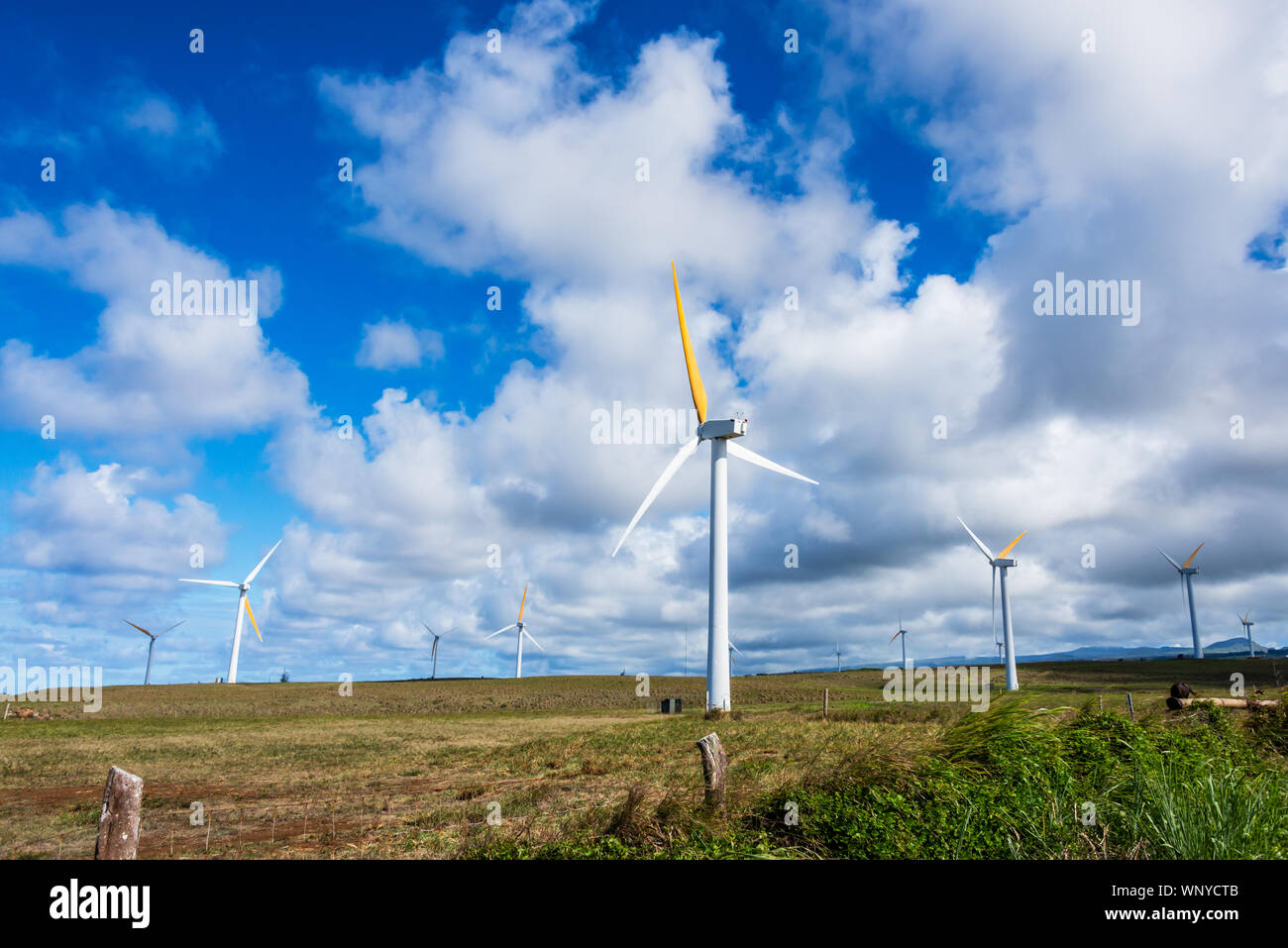 Hawaii wind farm hi-res stock photography and images - Alamy
