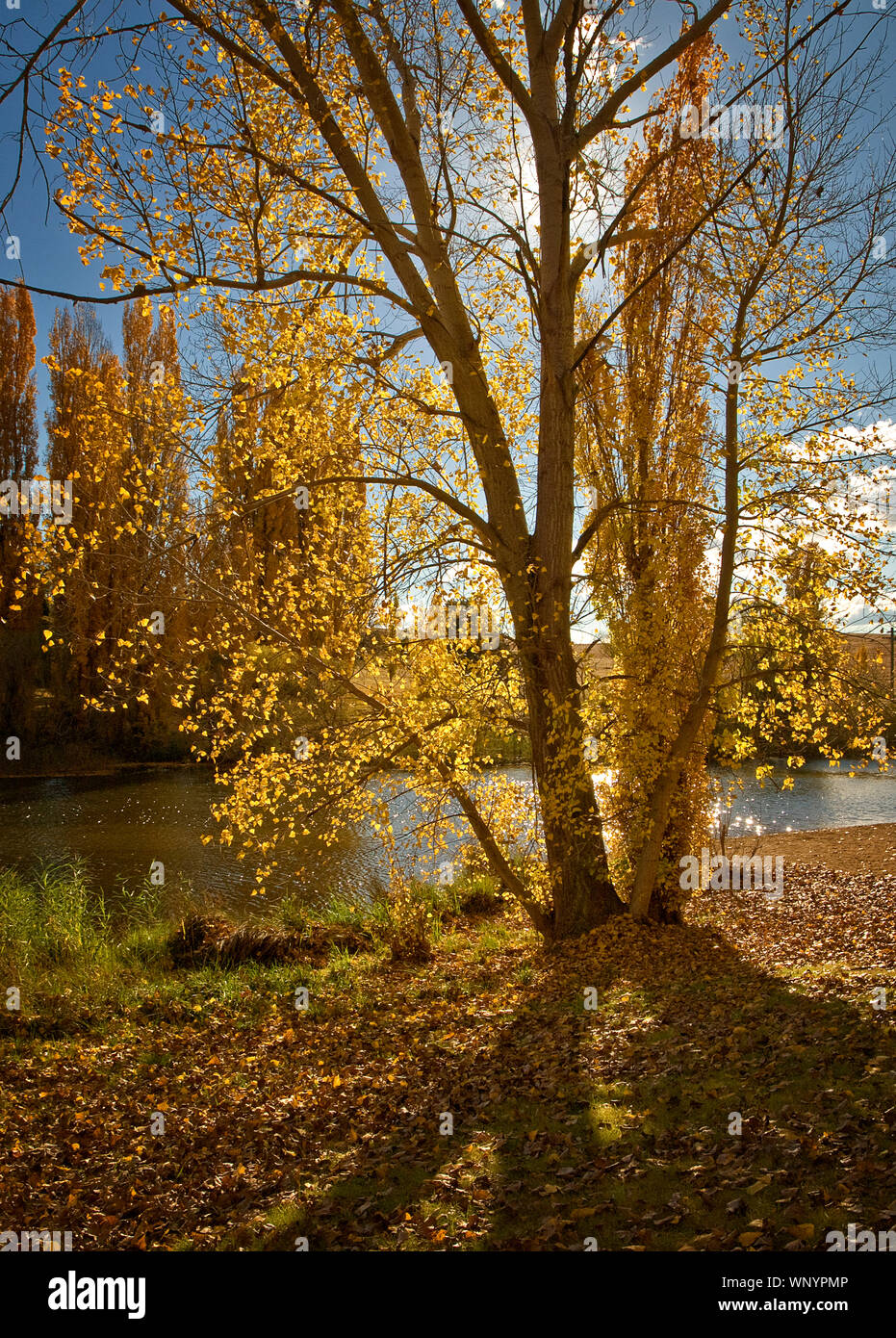 Dalgety australia hi-res stock photography and images - Alamy