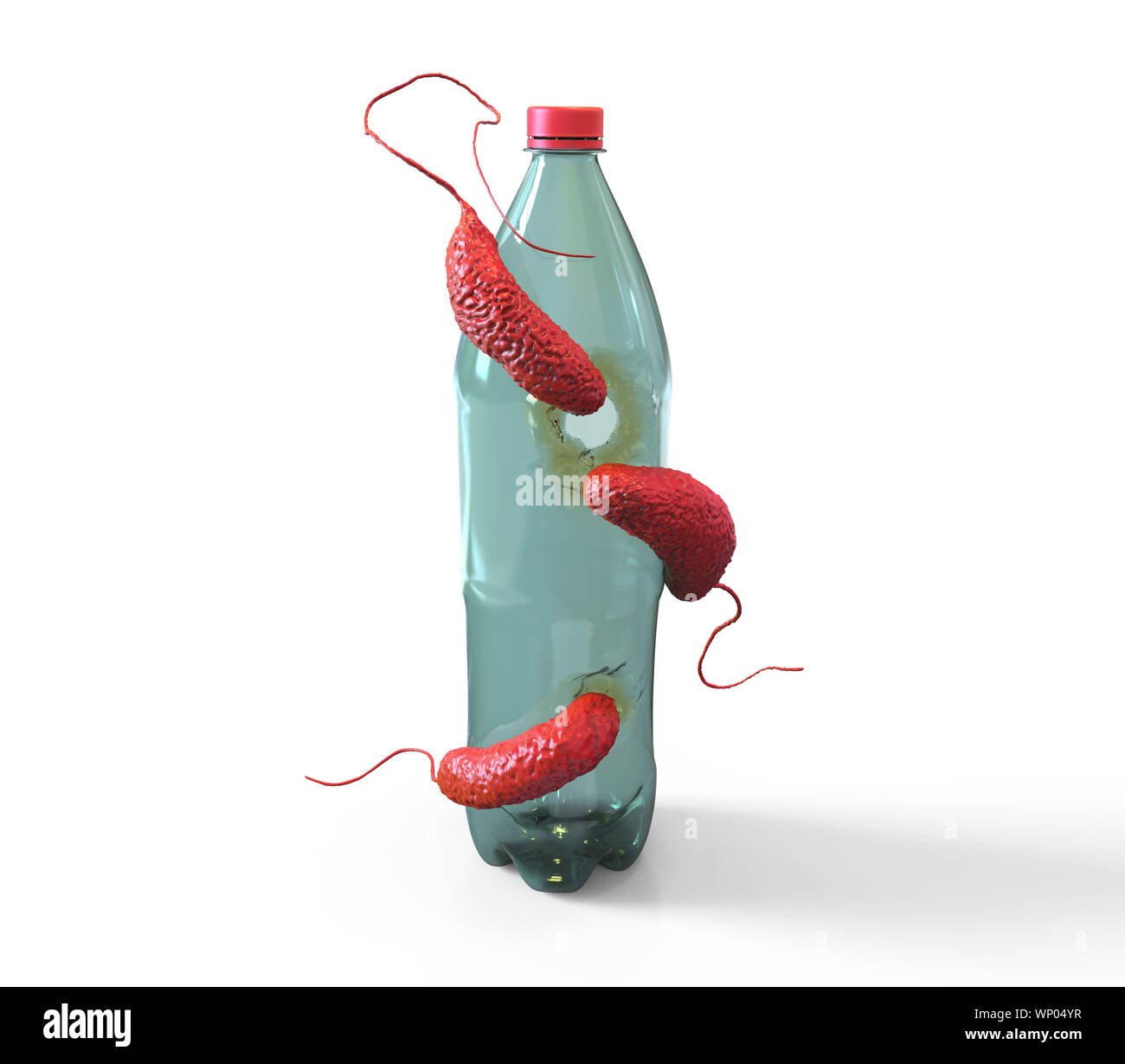 Plastic-degrading bacteria, illustration Stock Photo - Alamy