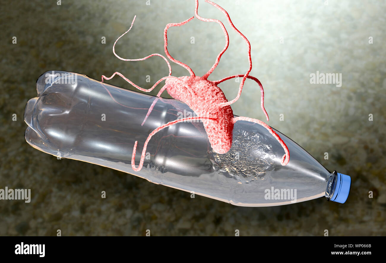 Plastic degrading bacteria hi-res stock photography and images - Alamy