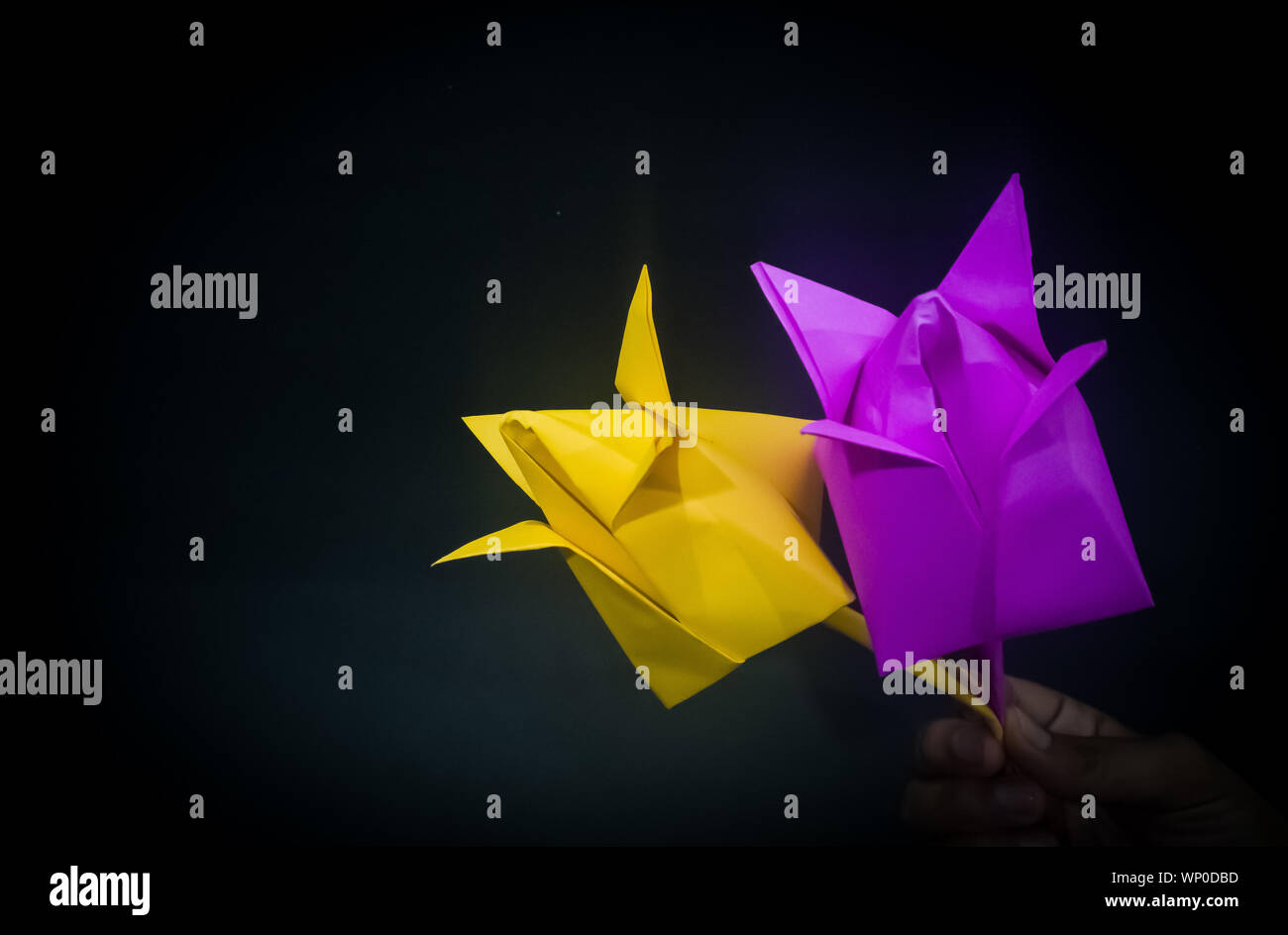Tulips origami paper craft flower with multi color Stock Photo - Alamy
