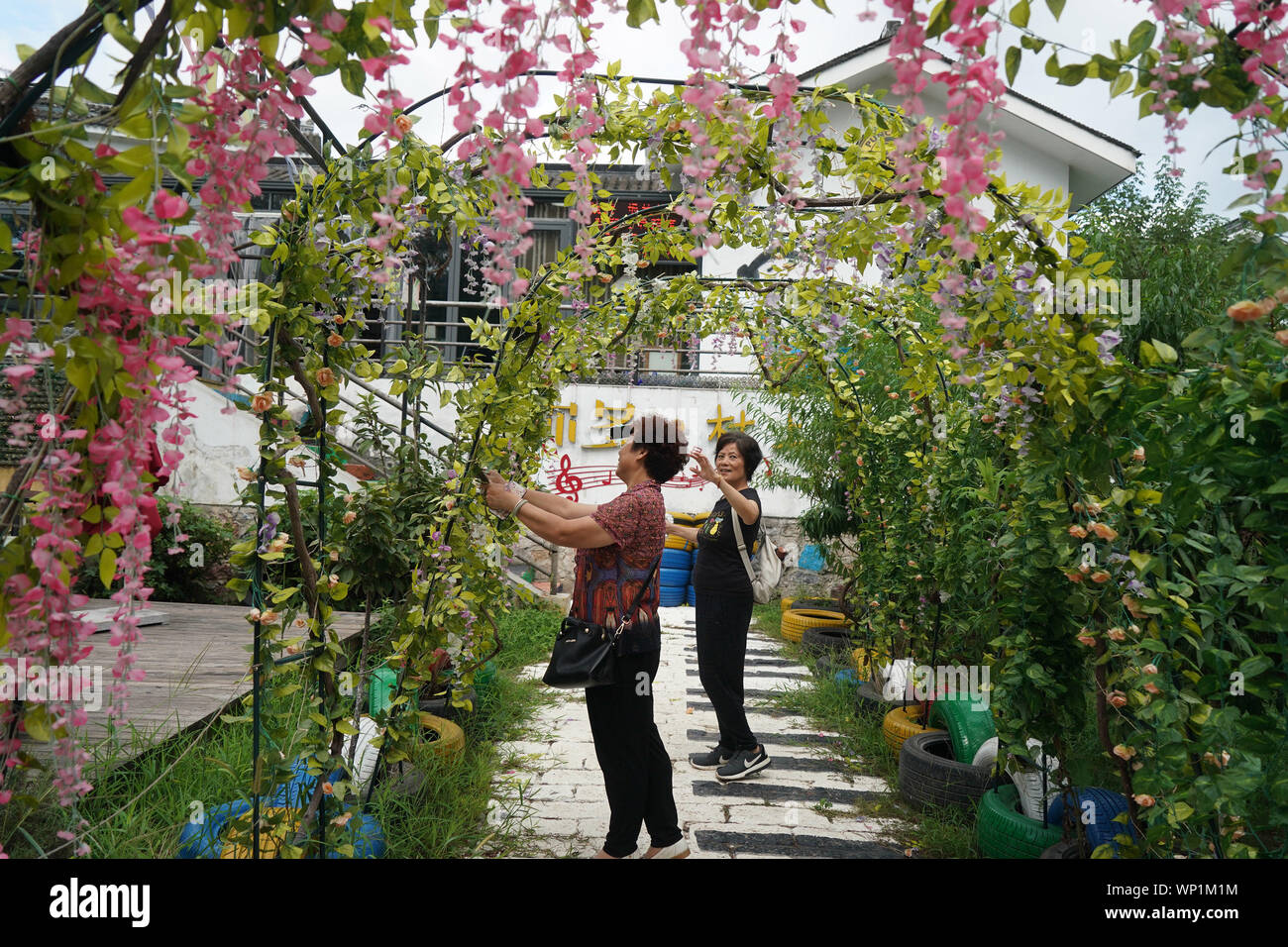 Nanjing forest hi-res stock photography and images - Alamy
