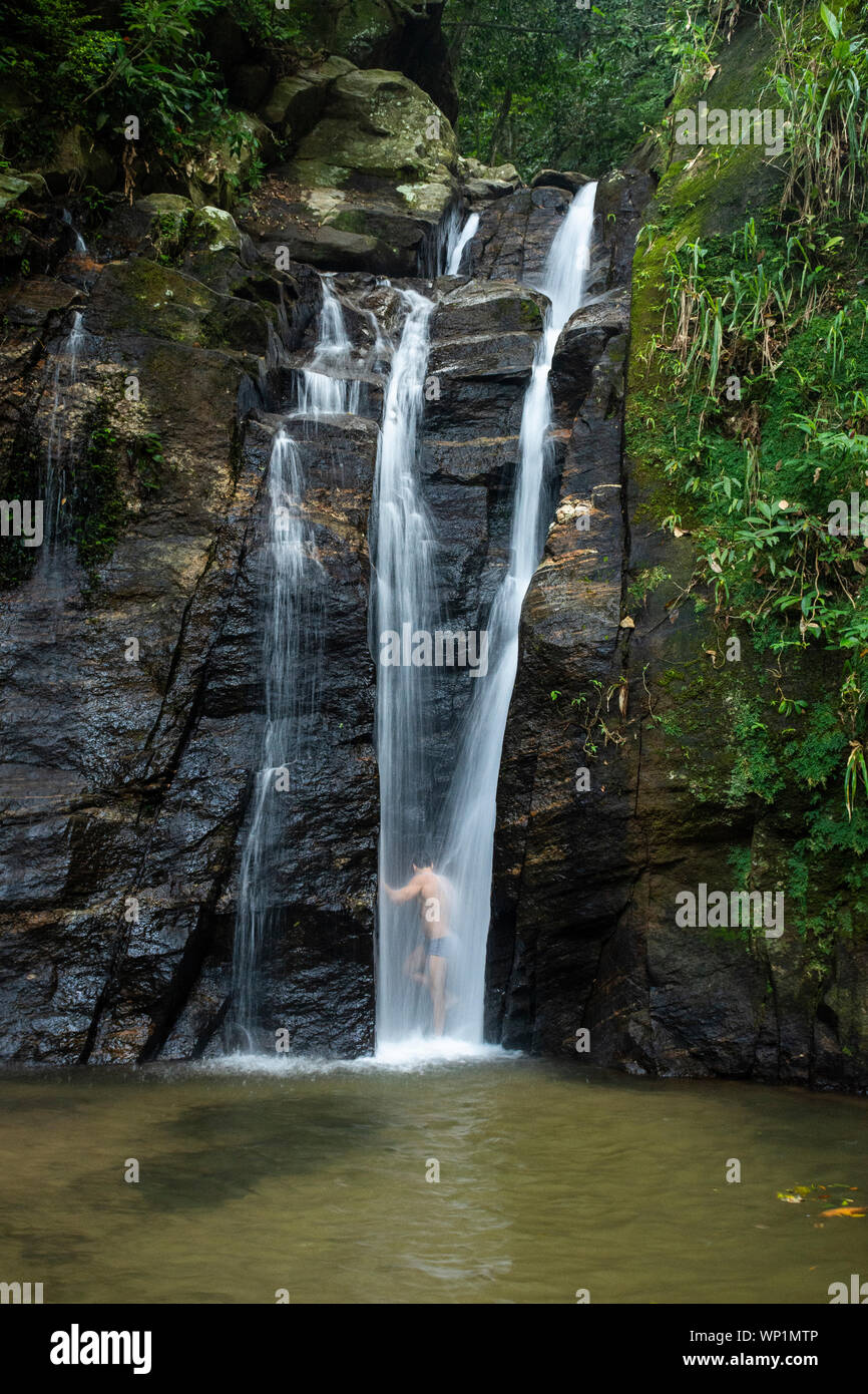 Waterfall in tijuca forest hi-res stock photography and images - Alamy