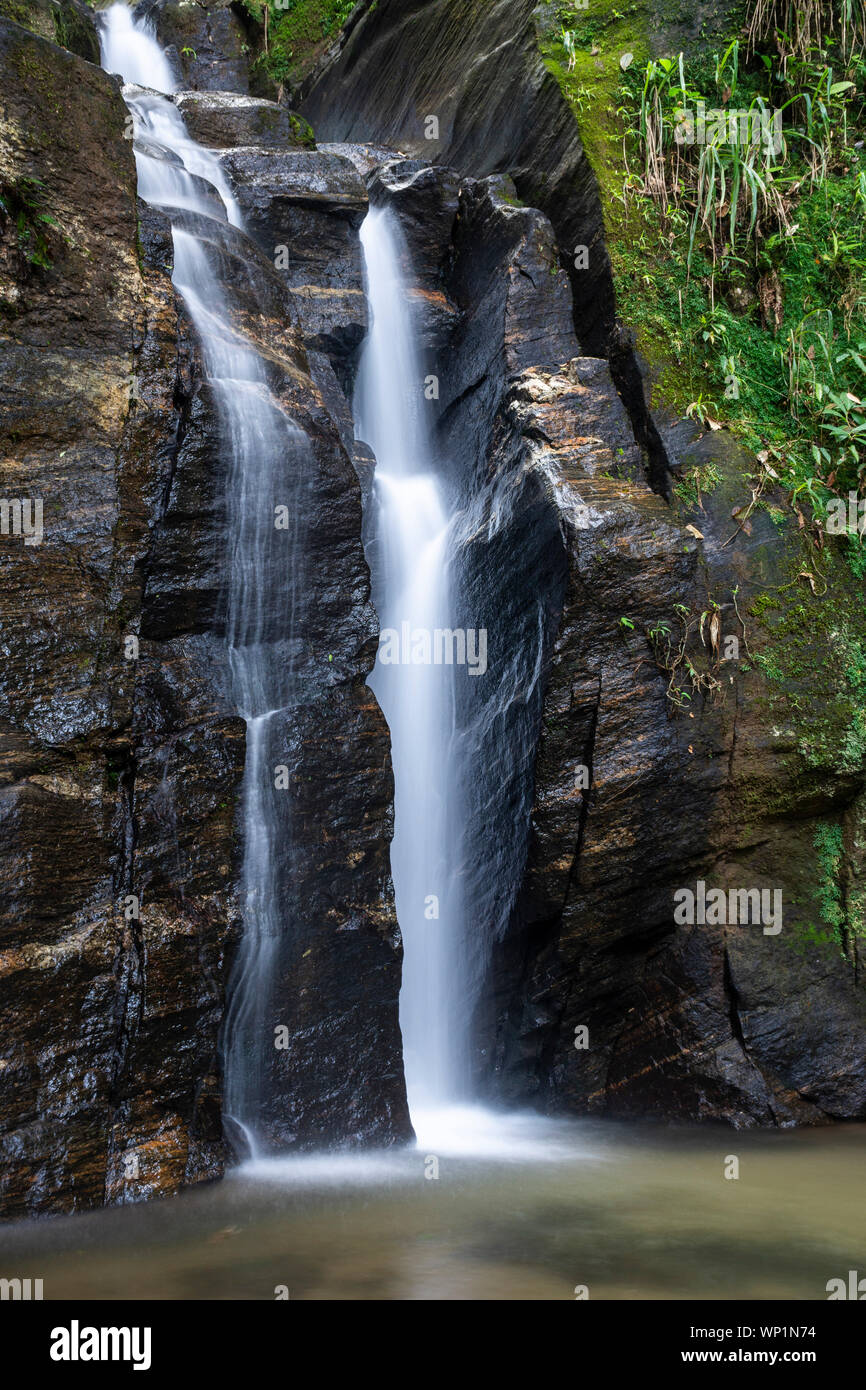 Tijuca Forest waterfall in Rio de Janeiro, Brazil Stock Photo - Alamy
