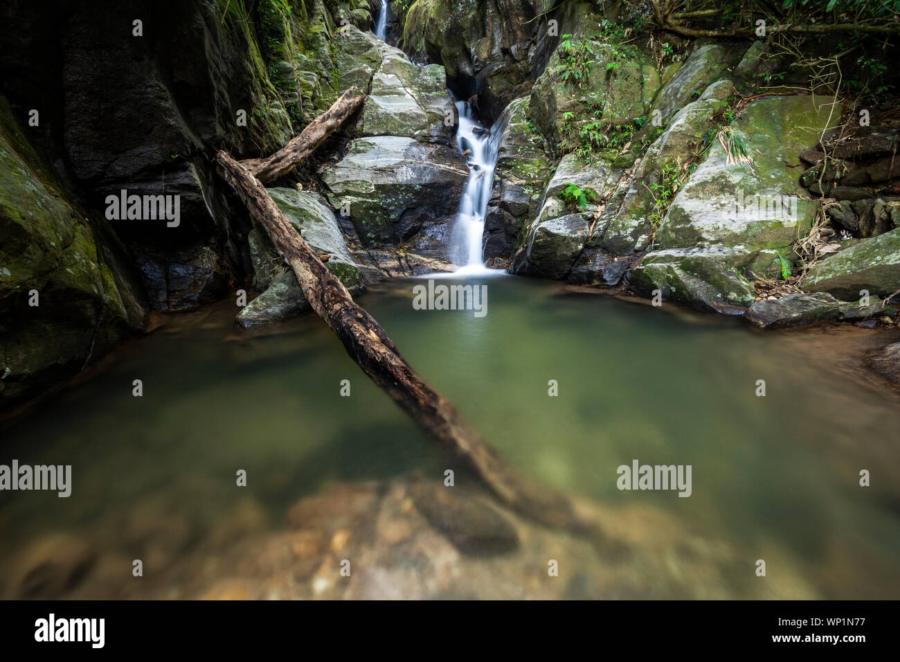 Tijuca Forest waterfall in Rio de Janeiro, Brazil Stock Photo - Alamy