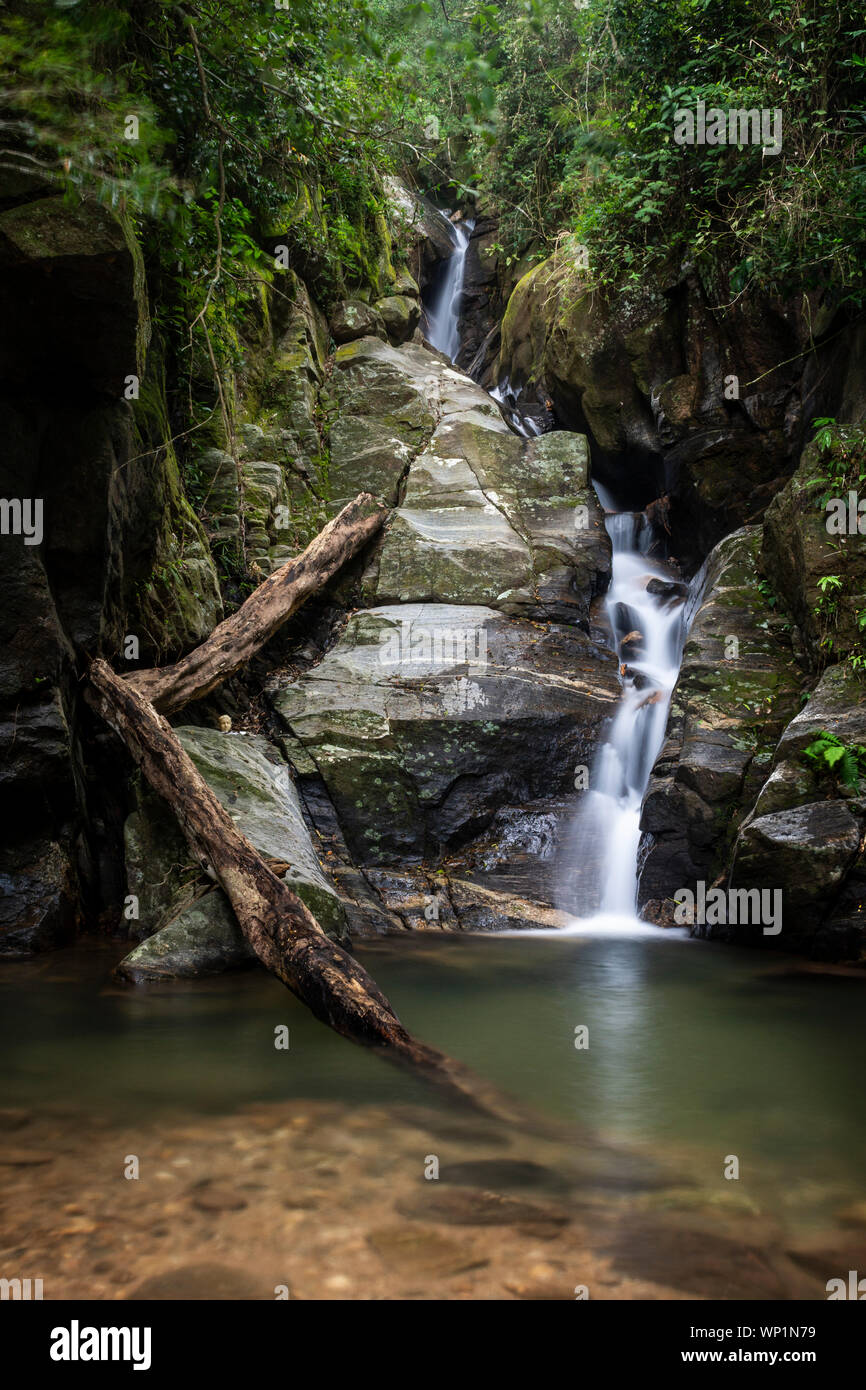 Waterfall in tijuca forest hi-res stock photography and images - Alamy