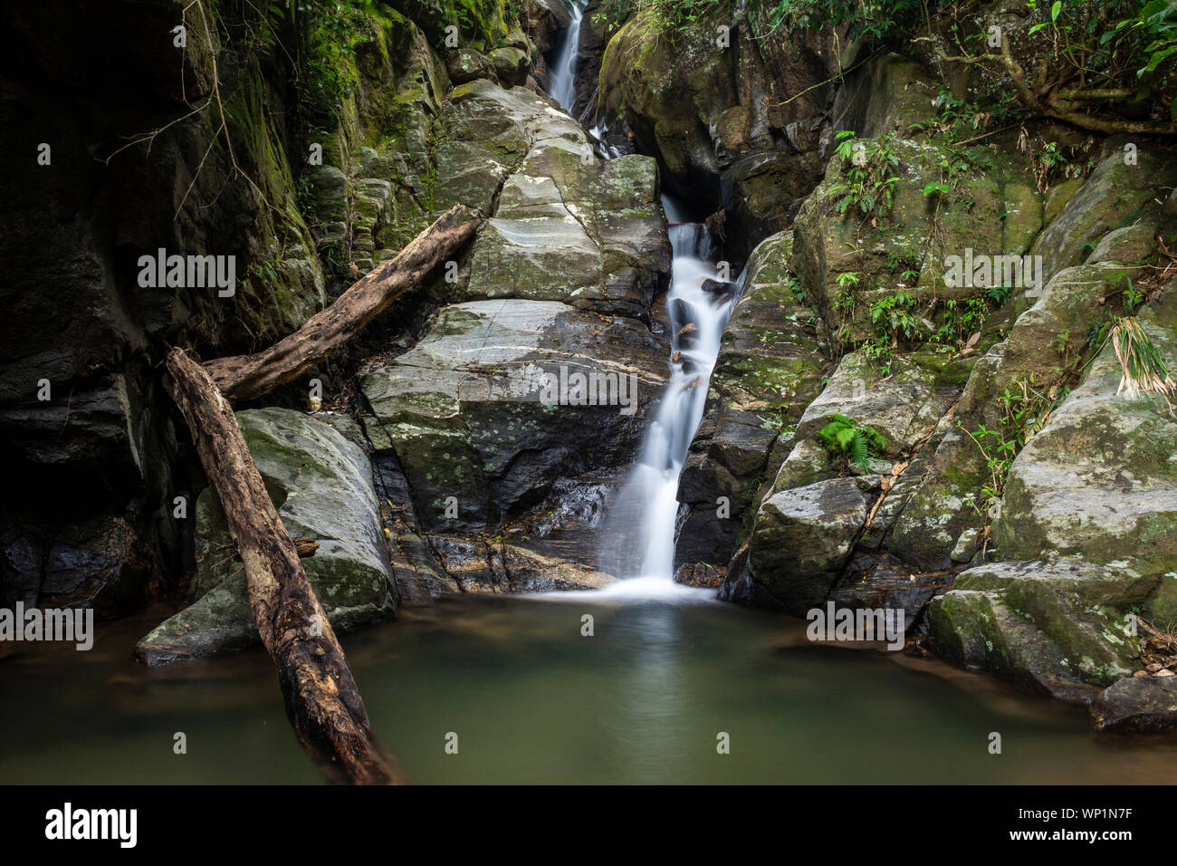 Waterfall in tijuca forest hi-res stock photography and images - Alamy