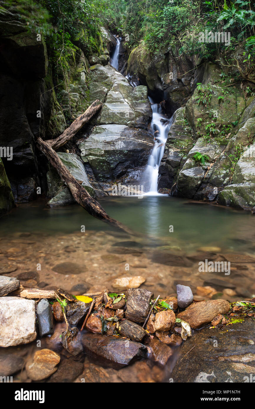Tijuca Forest waterfall in Rio de Janeiro, Brazil Stock Photo - Alamy