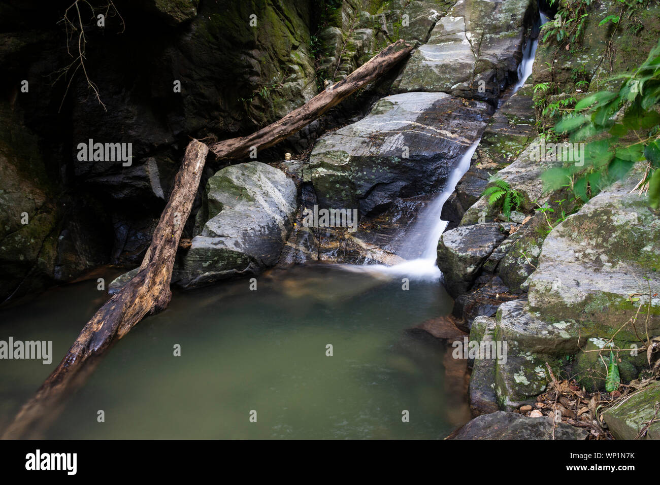 Tijuca Forest waterfall in Rio de Janeiro, Brazil Stock Photo - Alamy