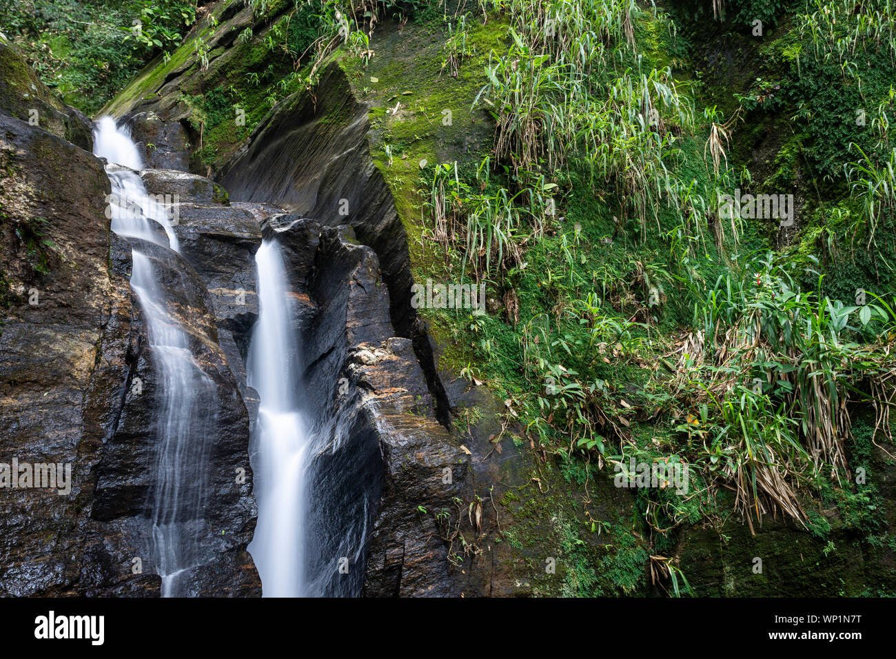 Waterfall in tijuca forest hi-res stock photography and images - Alamy