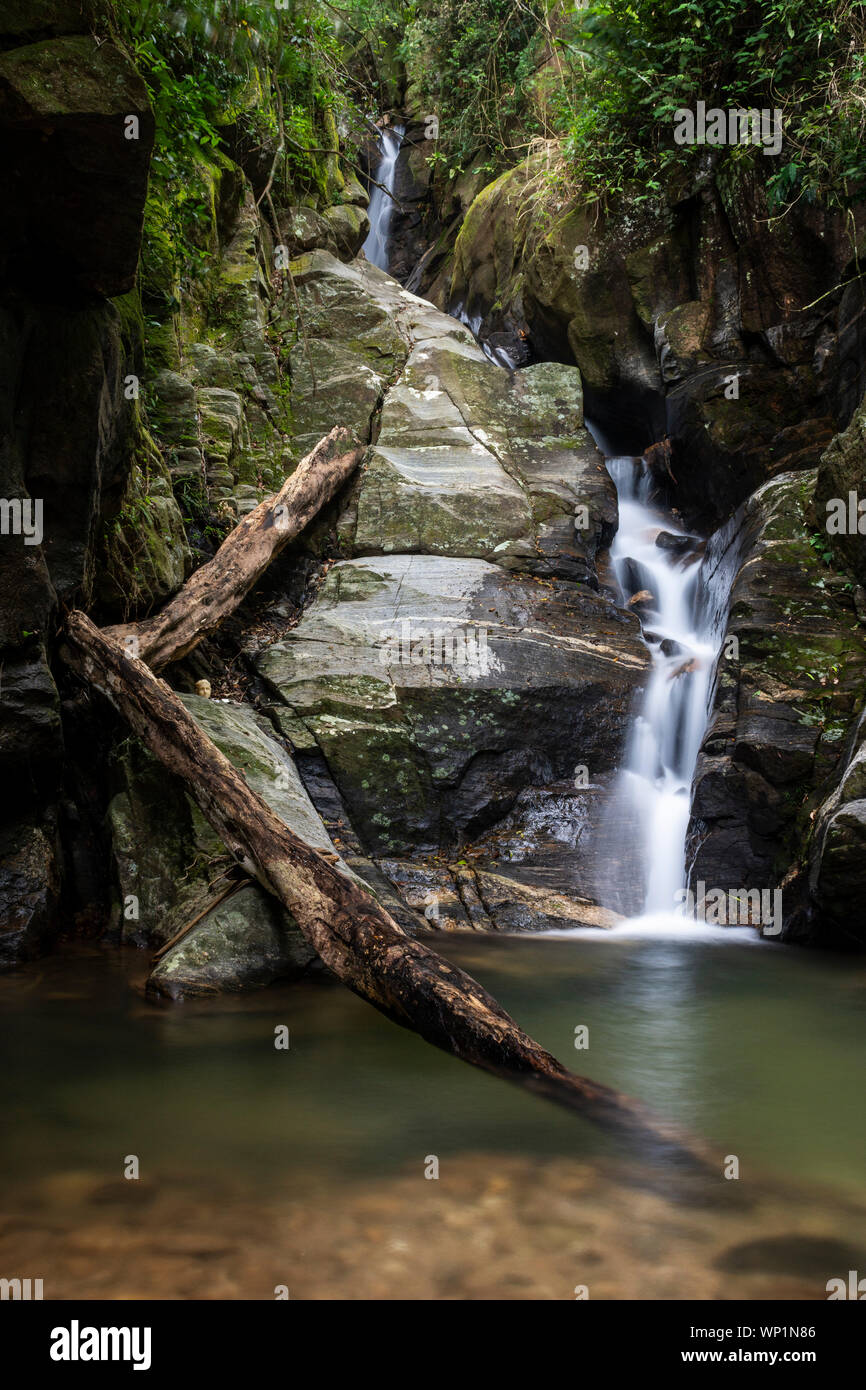 Tijuca Forest waterfall in Rio de Janeiro, Brazil Stock Photo - Alamy