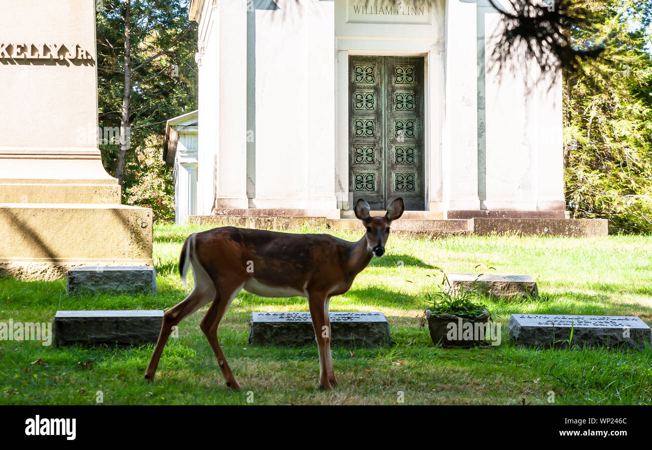 Homewood cemetery pittsburgh hi-res stock photography and images - Alamy