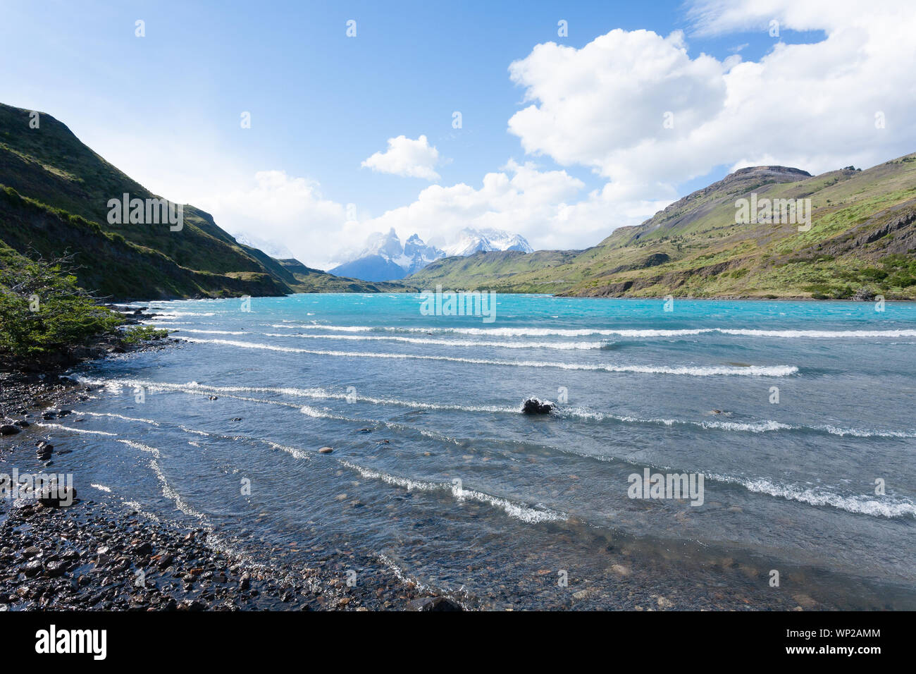Torres del Paine National Park landscape, Chile. Rio Paine, chilean ...