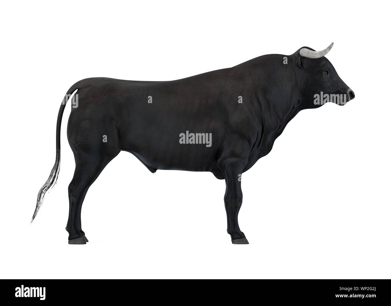 Black bull big horns Cut Out Stock Images & Pictures - Alamy