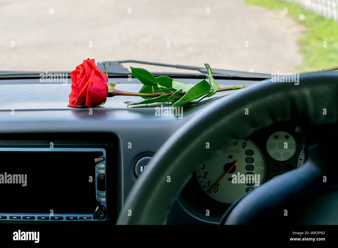 a red rose flower lies on the dashboard inside the car Stock Photo - Alamy