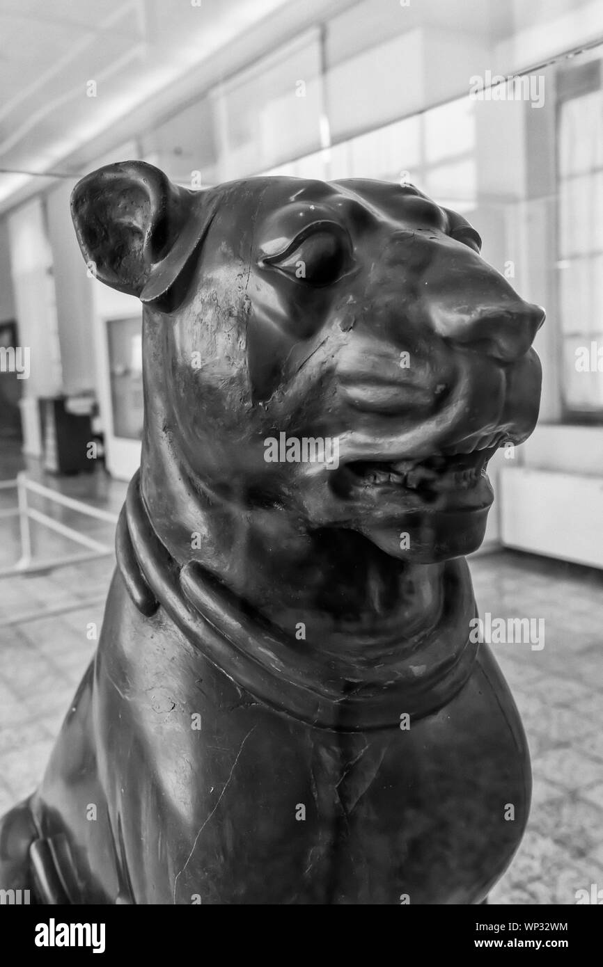 Tehran persepolis Black and White Stock Photos & Images - Alamy