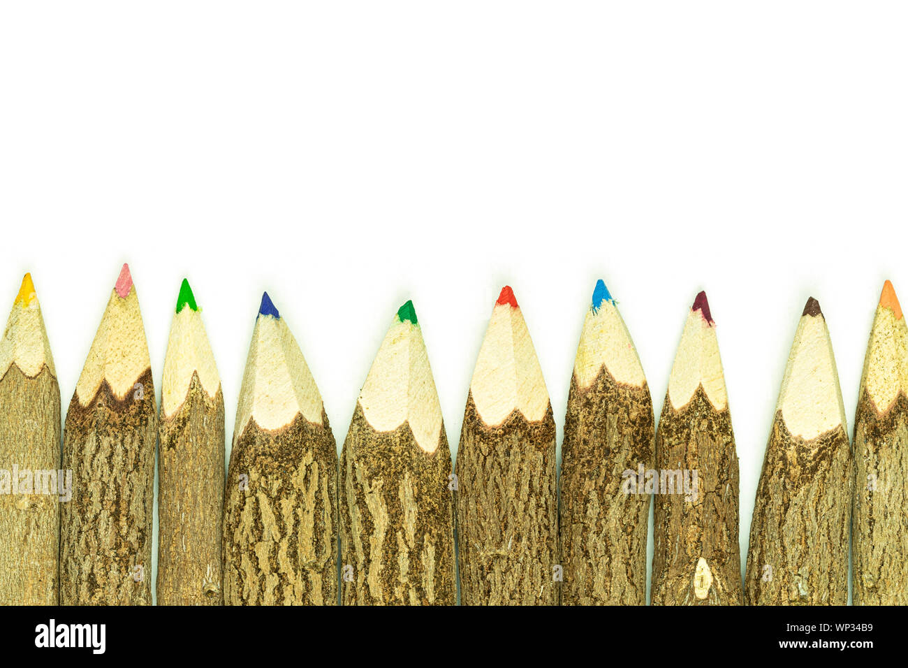 Colored pencils made from branches of trees isolate on white background ...