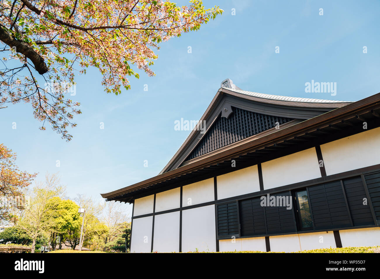Tokushima, Shikoku, Japan - April 18, 2019 : Tokushima Central Park ...