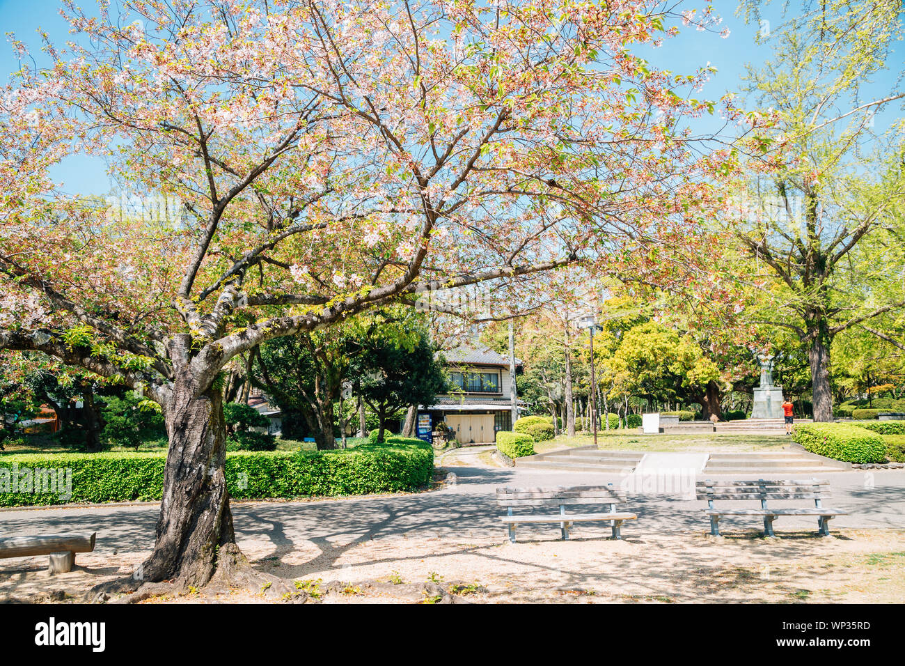 Tokushima city japan hi-res stock photography and images - Alamy