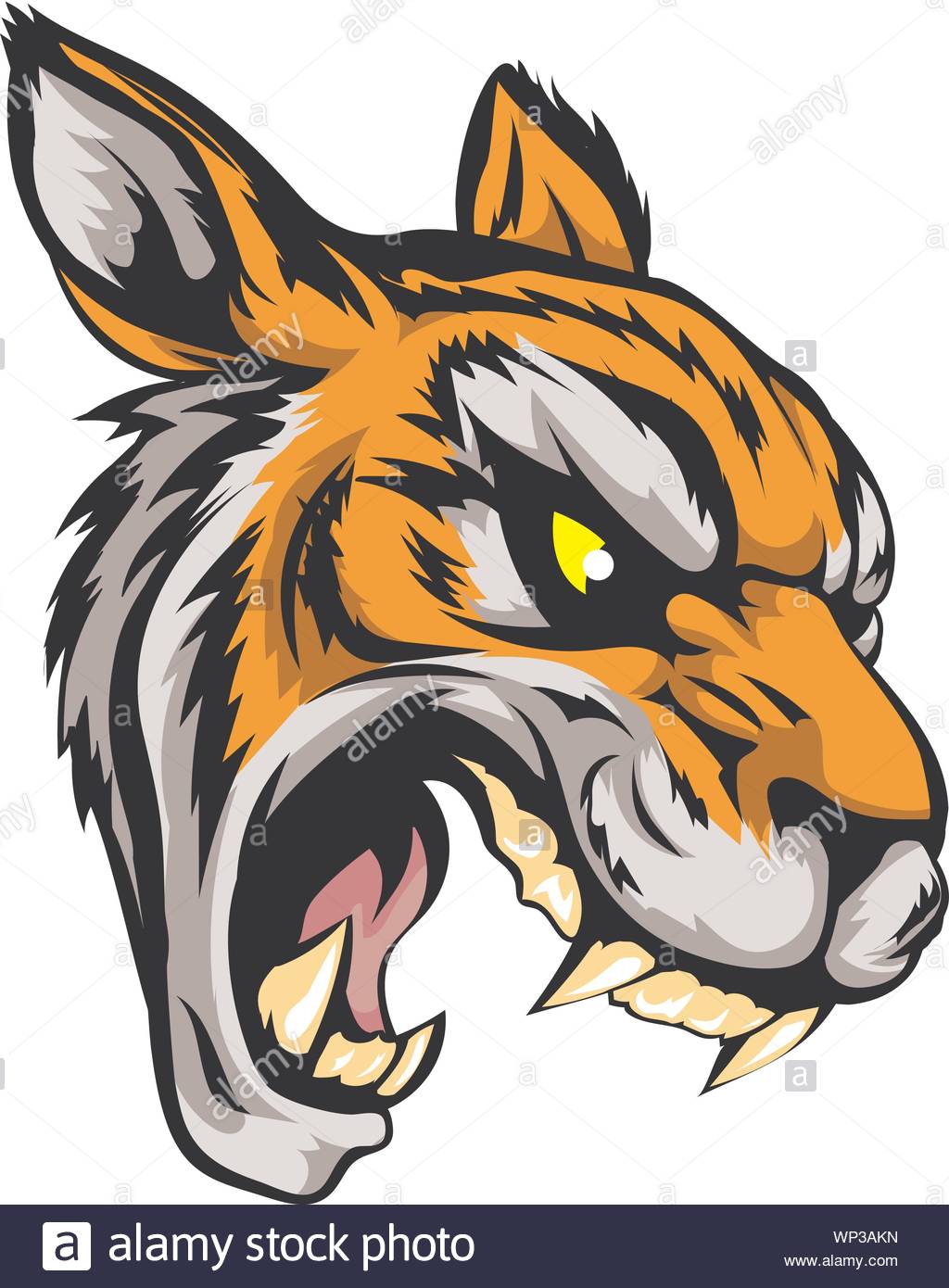 Cartoon Fierce Tiger Animal Character High Resolution Stock Photography ...