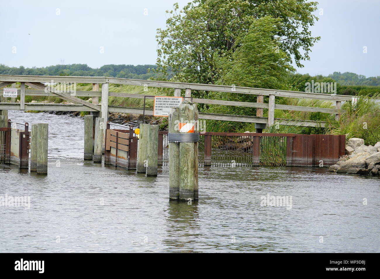footbridge, bridge, water, nature, travel, river, architecture, sky ...