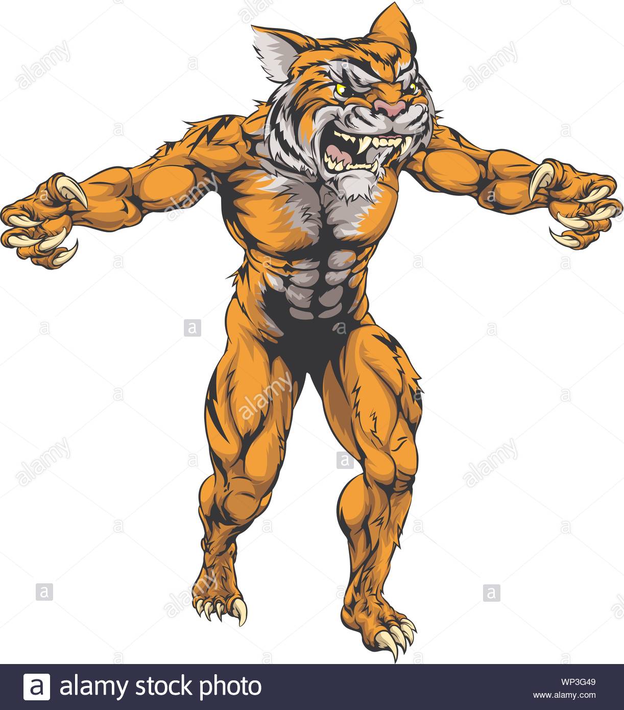 Cartoon Fierce Tiger Animal Character Stock Photos & Cartoon Fierce ...